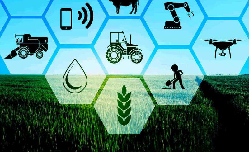 Agriculture Value Addition: The Changing Face of Agriculture in Kenya ...