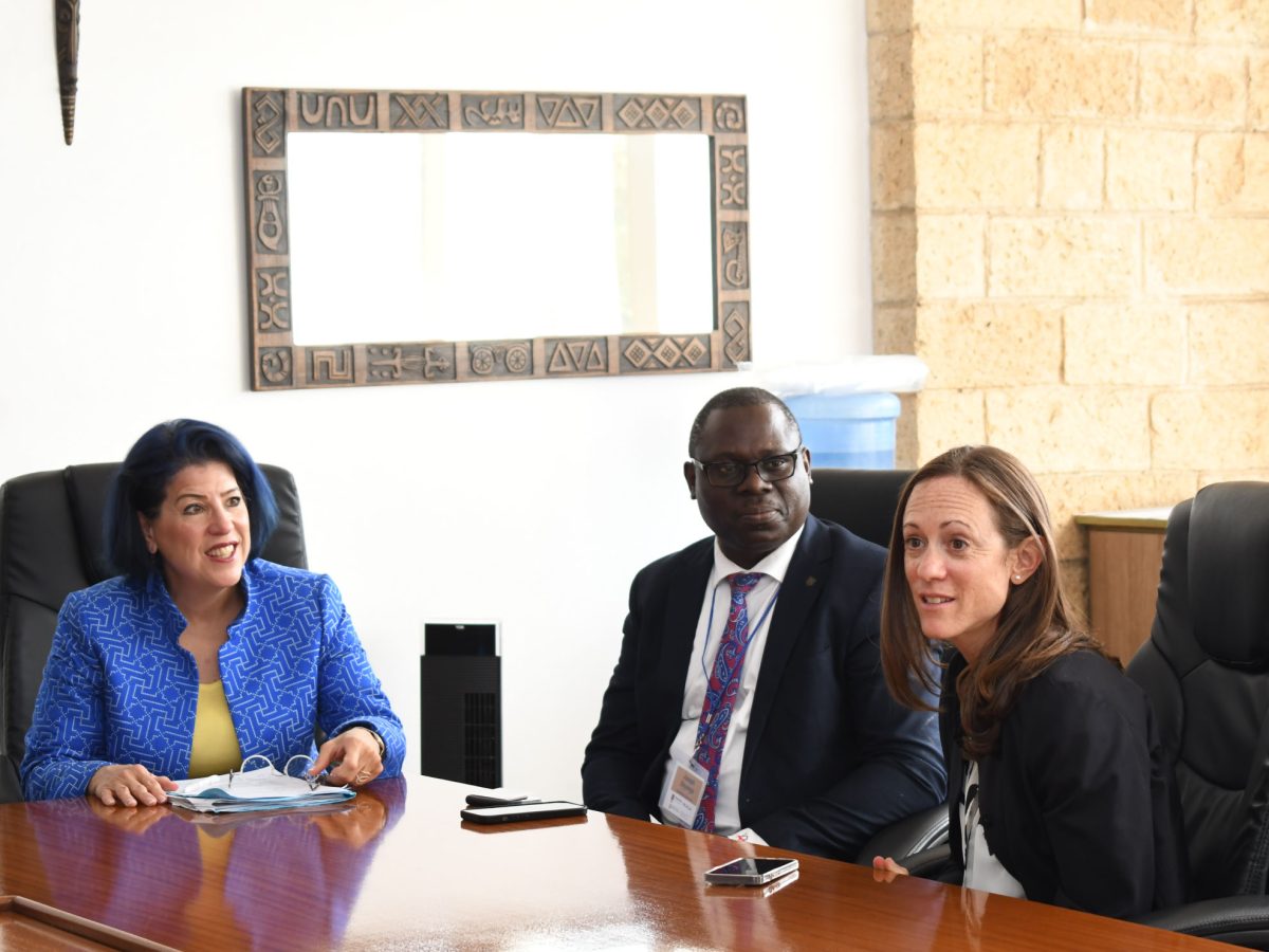 Guest Lecture: Leadership and Innovation: Accelerating Access to ...