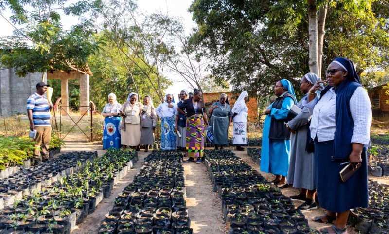The Sisters Blended Value Project (SBVP) Trains Catholic Sisters from ...