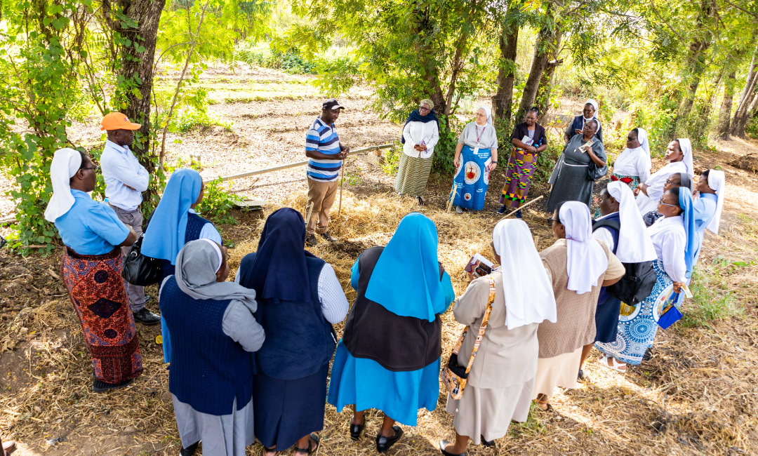 The Sisters Blended Value Project (SBVP) Trains Catholic Sisters from ...