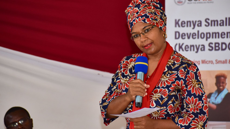 USAID’S Kenya SBDC Launches Agribusiness Entrepreneurship Training for ...