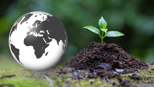 Climate Change: Our Shared Responsibility and Urgent Call to Action ...