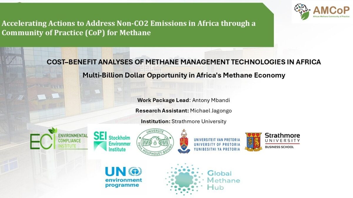 Multi-Billion Dollar Opportunity in Africa's Methane Economy ...